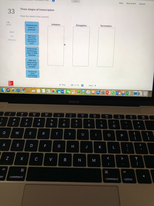 Solved Help Save&Exit Subm Three stages of transcription | Chegg.com