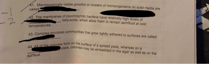 Solved Macroscopically visible growths or clusters of | Chegg.com
