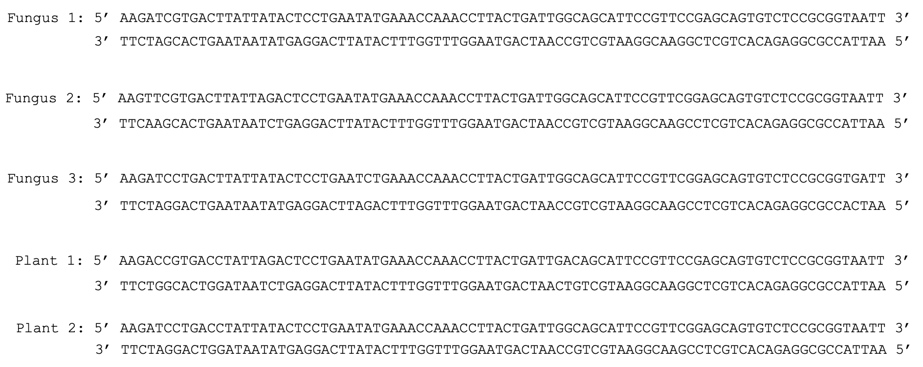 Solved Identify a forward primer and a reverse primer that | Chegg.com