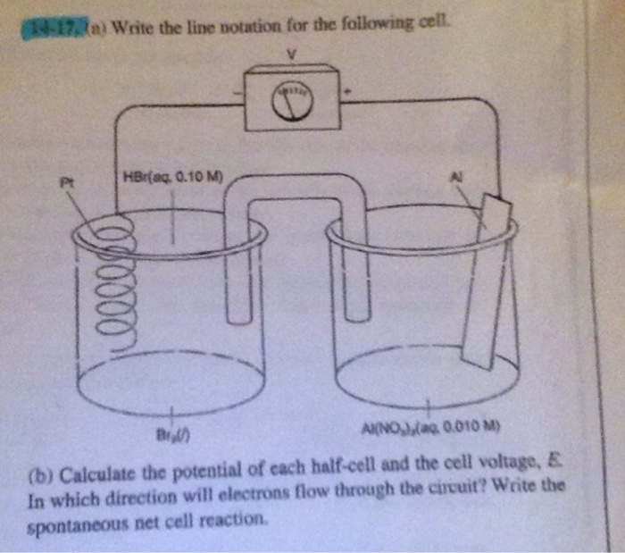 Solved A Write The Line Notation For The Following Cell