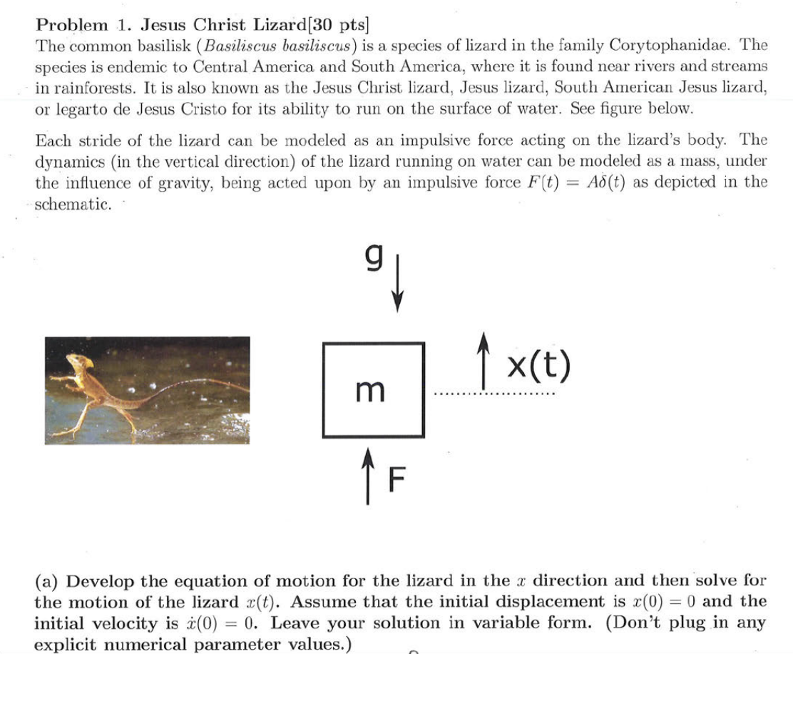 Solved Problem 1. Jesus Christ Lizard[30 pts] The common | Chegg.com
