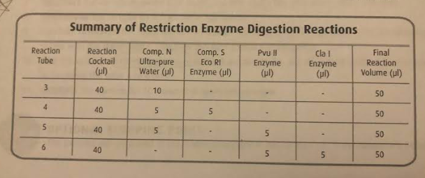 Solved Summary of Restriction Enzyme Digestion Reactions | Chegg.com