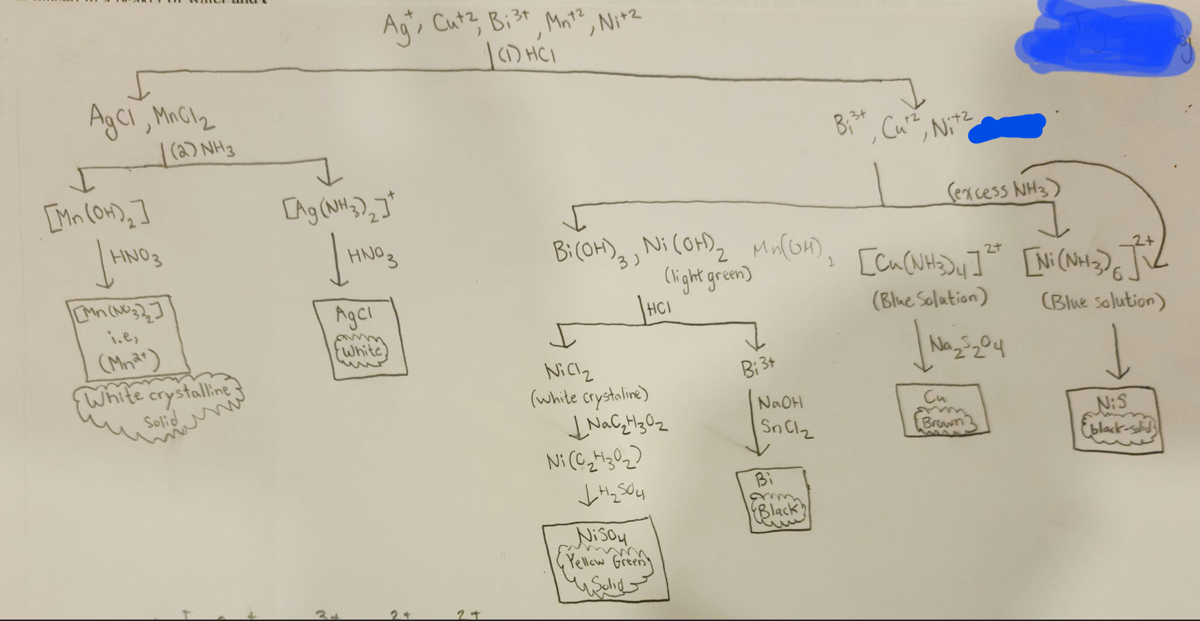 Solved Hello Expert, an Expert made a flowchart for me, and | Chegg.com
