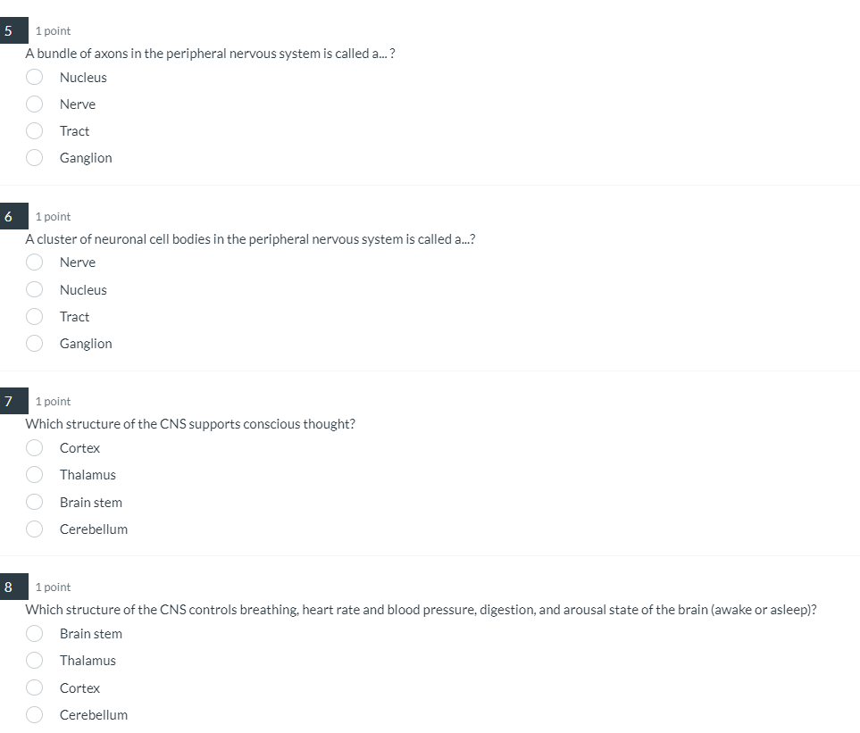 Solved A bundle of axons in the peripheral nervous system is | Chegg.com