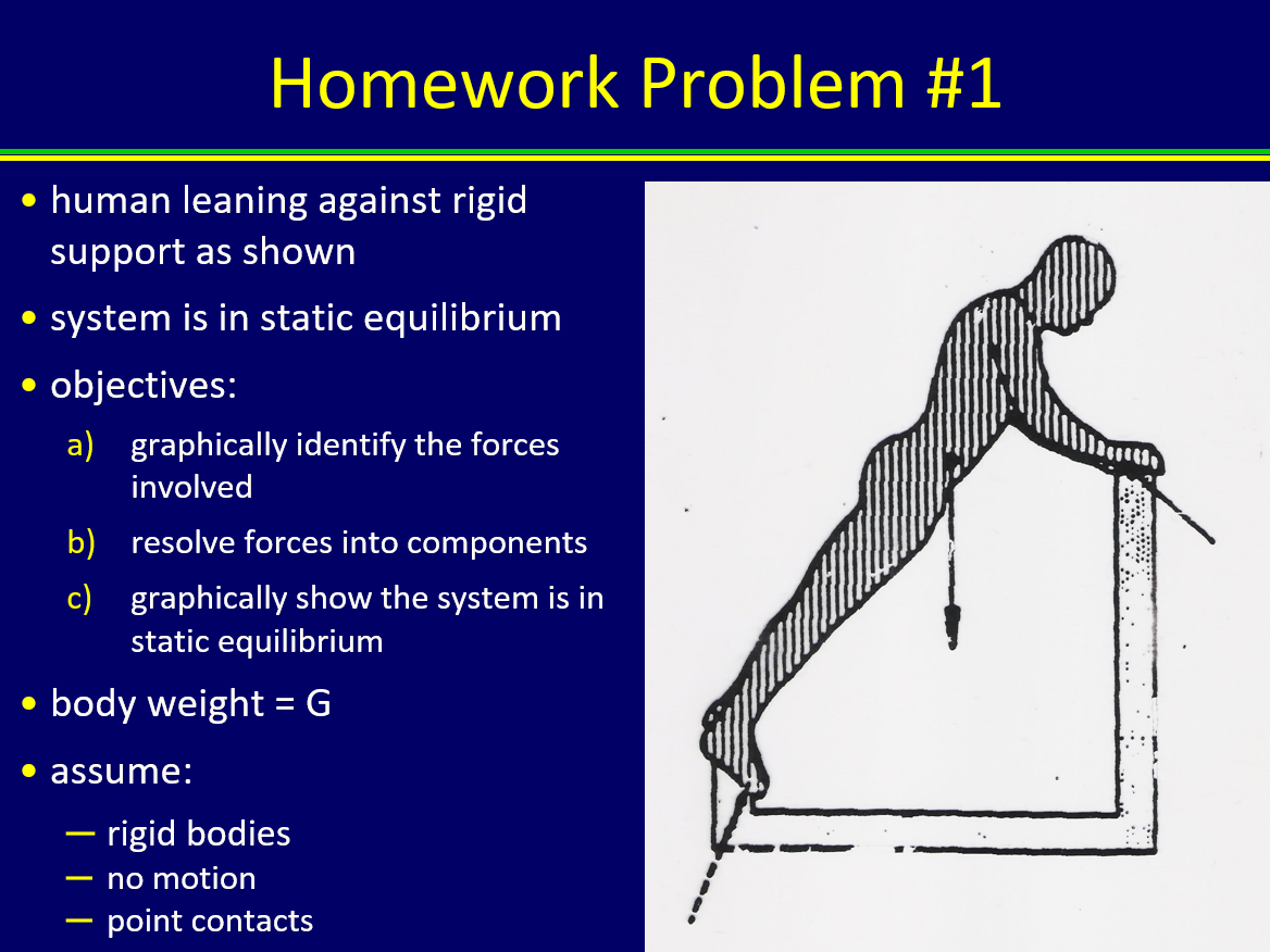 Solved Homework Problem #1 . human leaning against rigid | Chegg.com