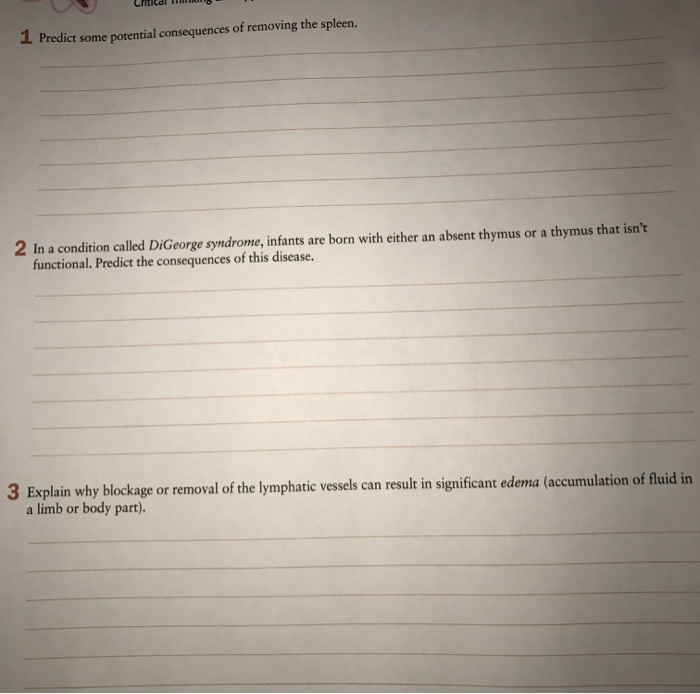 Solved Procedure Tracing the Flow of Lymph through the Body | Chegg.com