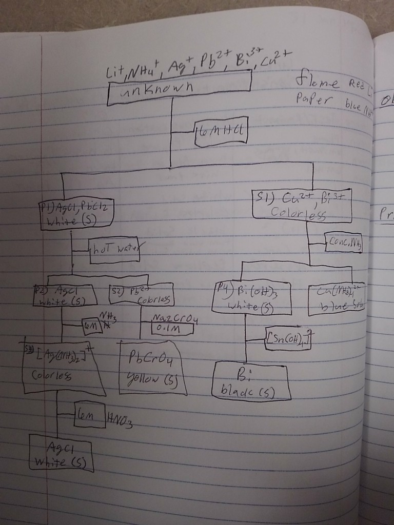 What would you observe if nitric acid was used | Chegg.com