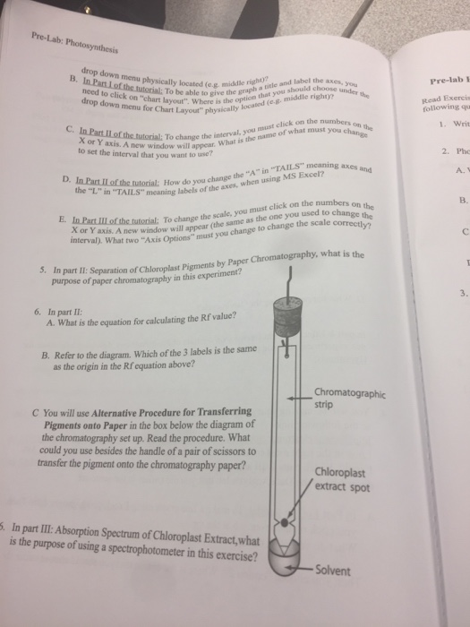 Solved Name: Pre-lab Homework for BIOL 150-Photosynthesis | Chegg.com Solved Name: Pre-lab Homework for BIOL 150-Photosynthesis | Chegg.com