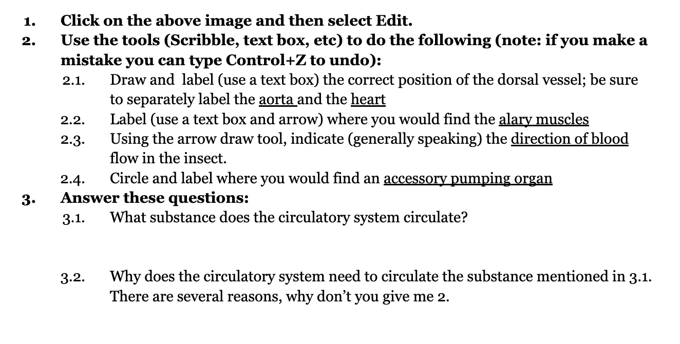 Solved Insect Circulatory System (5 pts) (link to the video | Chegg.com