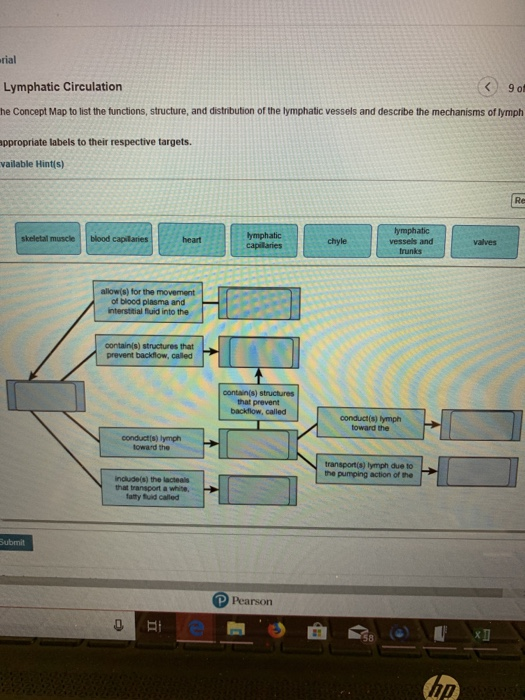 Solved: Rial Lymphatic Circulation He Concept Map To List ... | Chegg.com