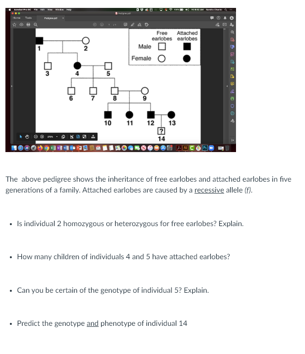 Solved The above pedigree shows the inheritance of free | Chegg.com