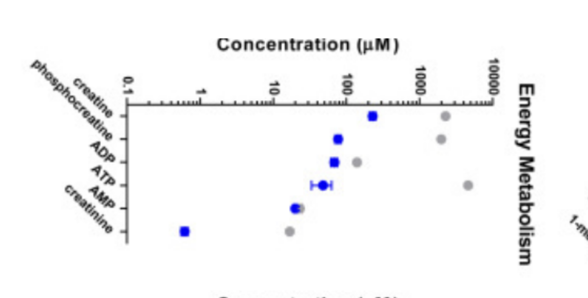 Solved 38. Using your knowledge of the ATP synthase | Chegg.com