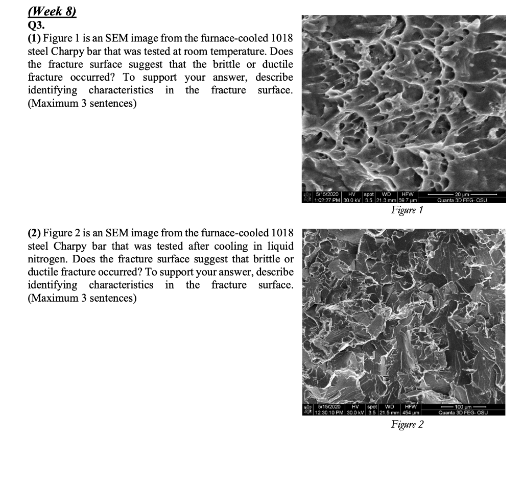 Solved (Week 8) Q3. (1) Figure 1 is an SEM image from the | Chegg.com