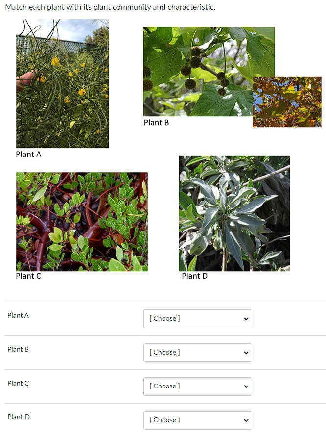Match each plant with its plant communitv and | Chegg.com