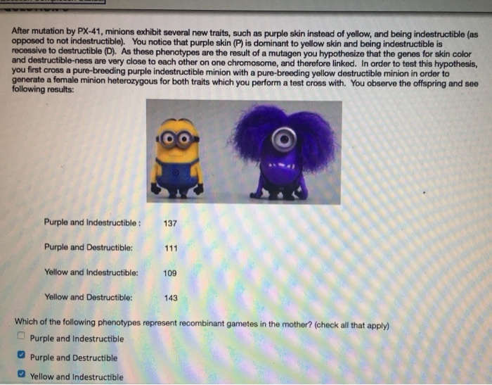 Solved After mutation by PX-41, minions exhibit several new | Chegg.com