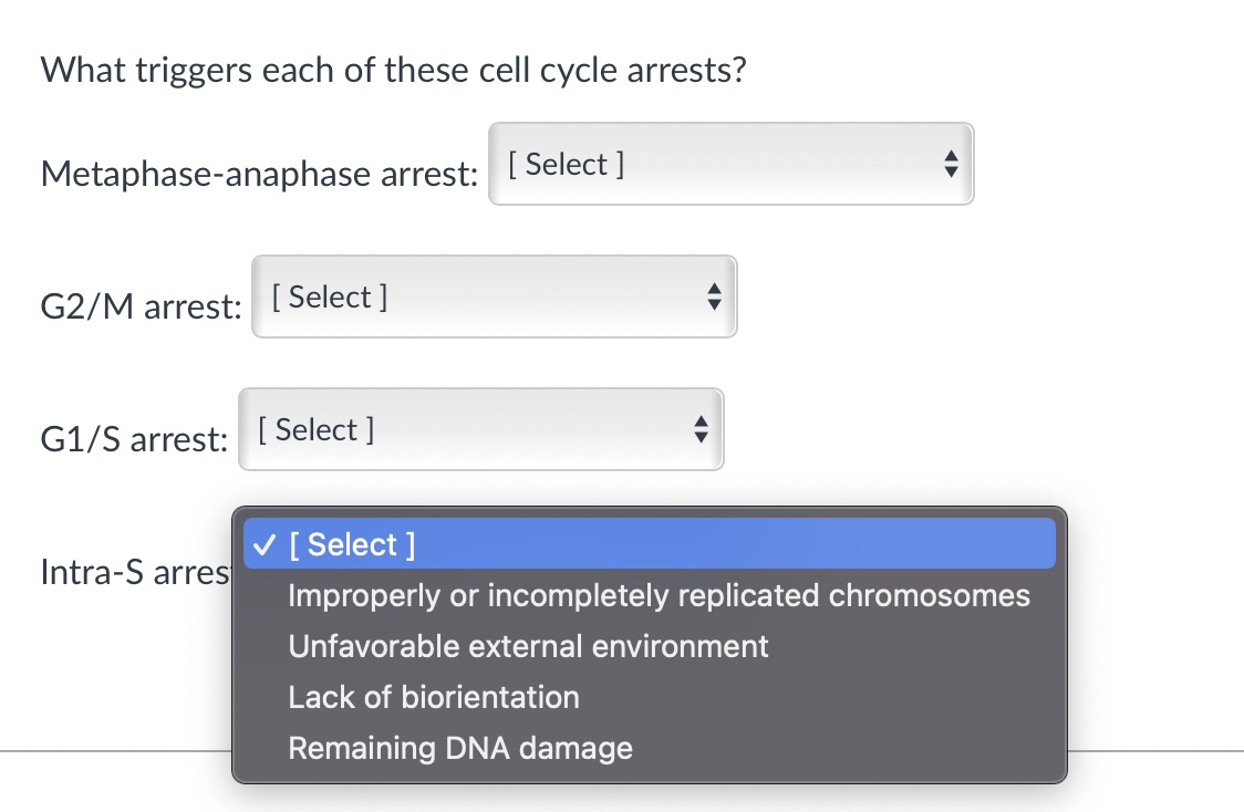 Solved What triggers each of these cell cycle arrests? | Chegg.com