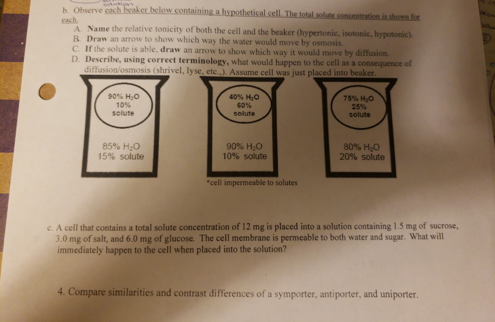 Solved ach beaker below containing a hypothetical cell. The | Chegg.com