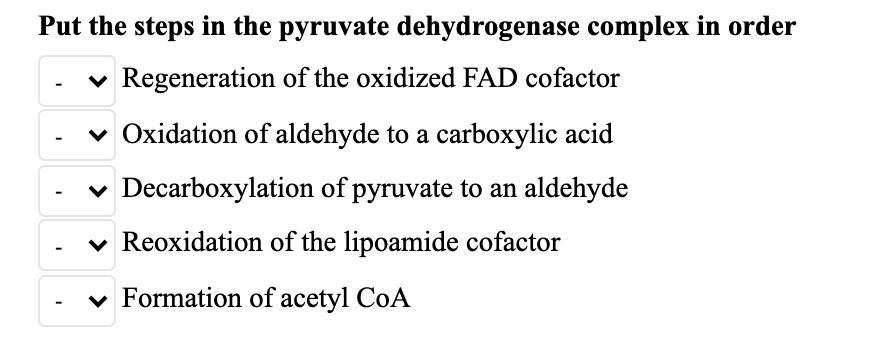 Solved Put the steps in the pyruvate dehydrogenase complex | Chegg.com