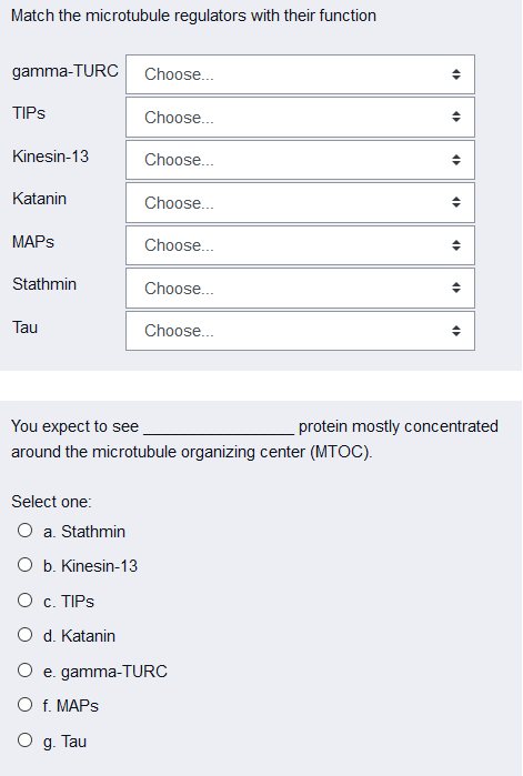 Solved Match the microtubule regulators with their function | Chegg.com