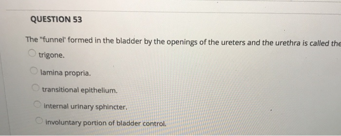 Solved QUESTION 53 The "funnel' formed in the bladder by the | Chegg.com