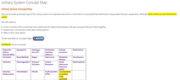 Solved Urinary System Concept Map Urinary System Concept Map | Chegg.com
