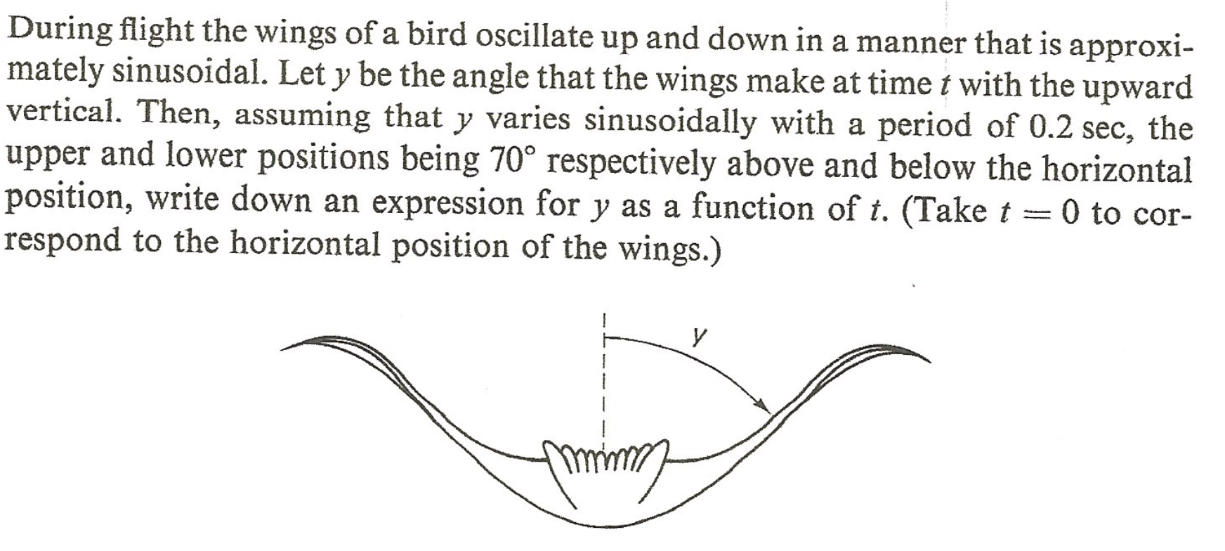 Solved During flight the wings of a bird oscillate up and | Chegg.com