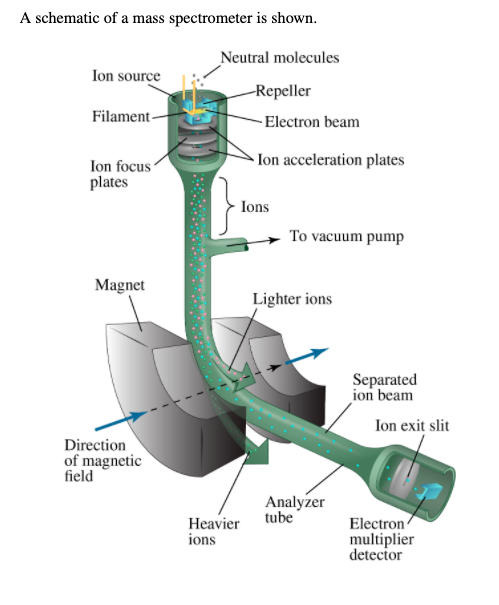 Solved A schematic of a mass spectrometer is shown. Neutral | Chegg.com