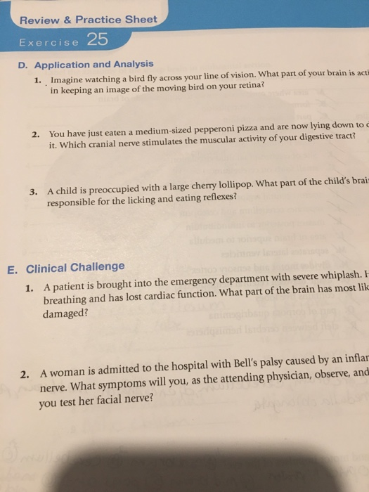 Solved Review & Practice Sheet Exercise 25 D. Application | Chegg.com