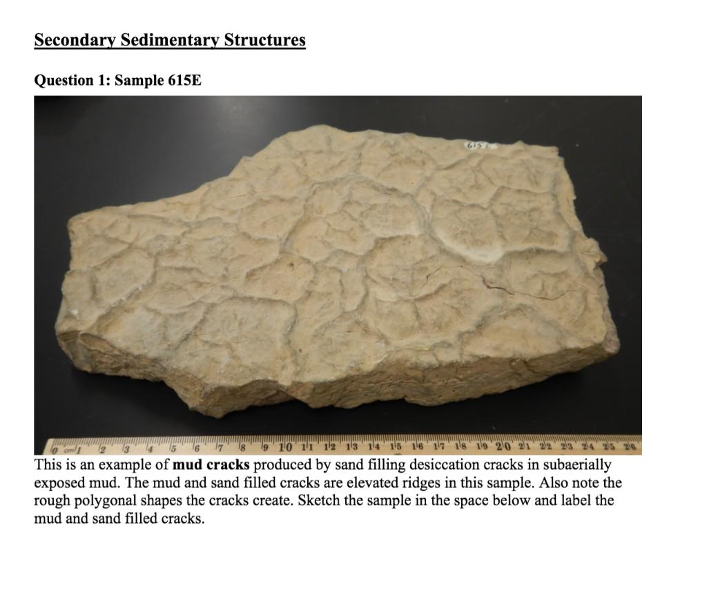 Solved Secondary Sedimentary Structures Question 1: Sample | Chegg.com
