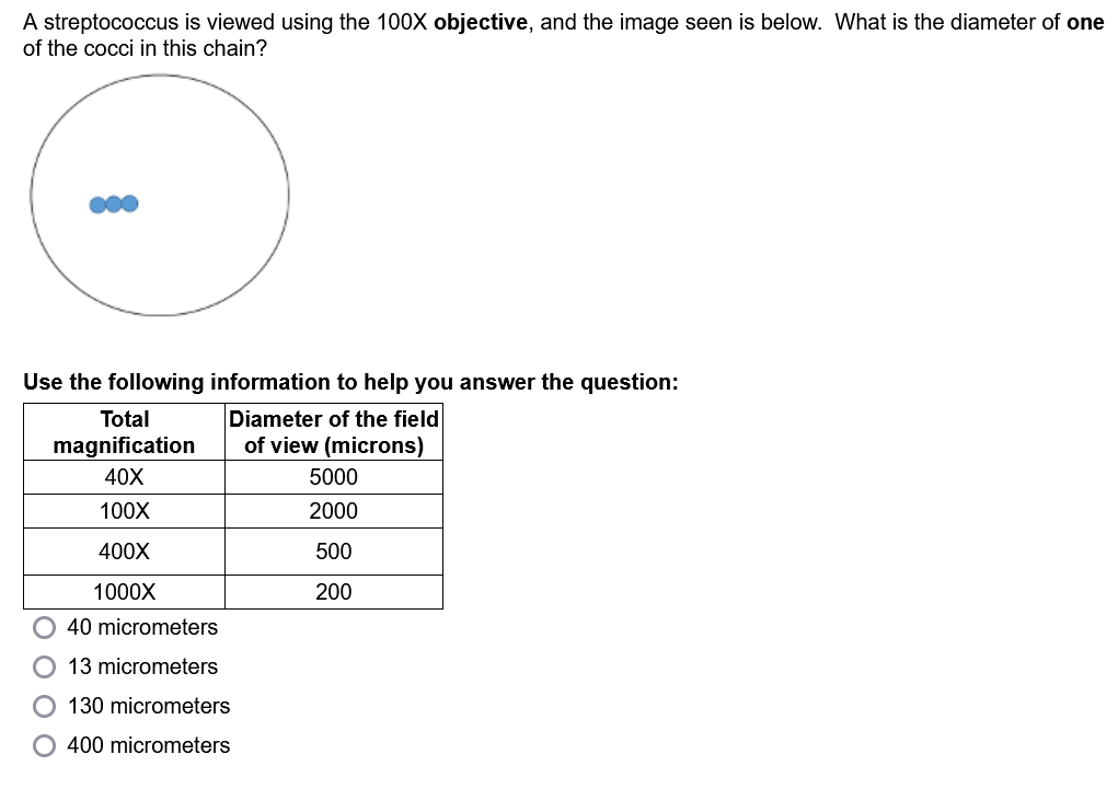 Solved A streptococcus is viewed using the 100X objective, | Chegg.com