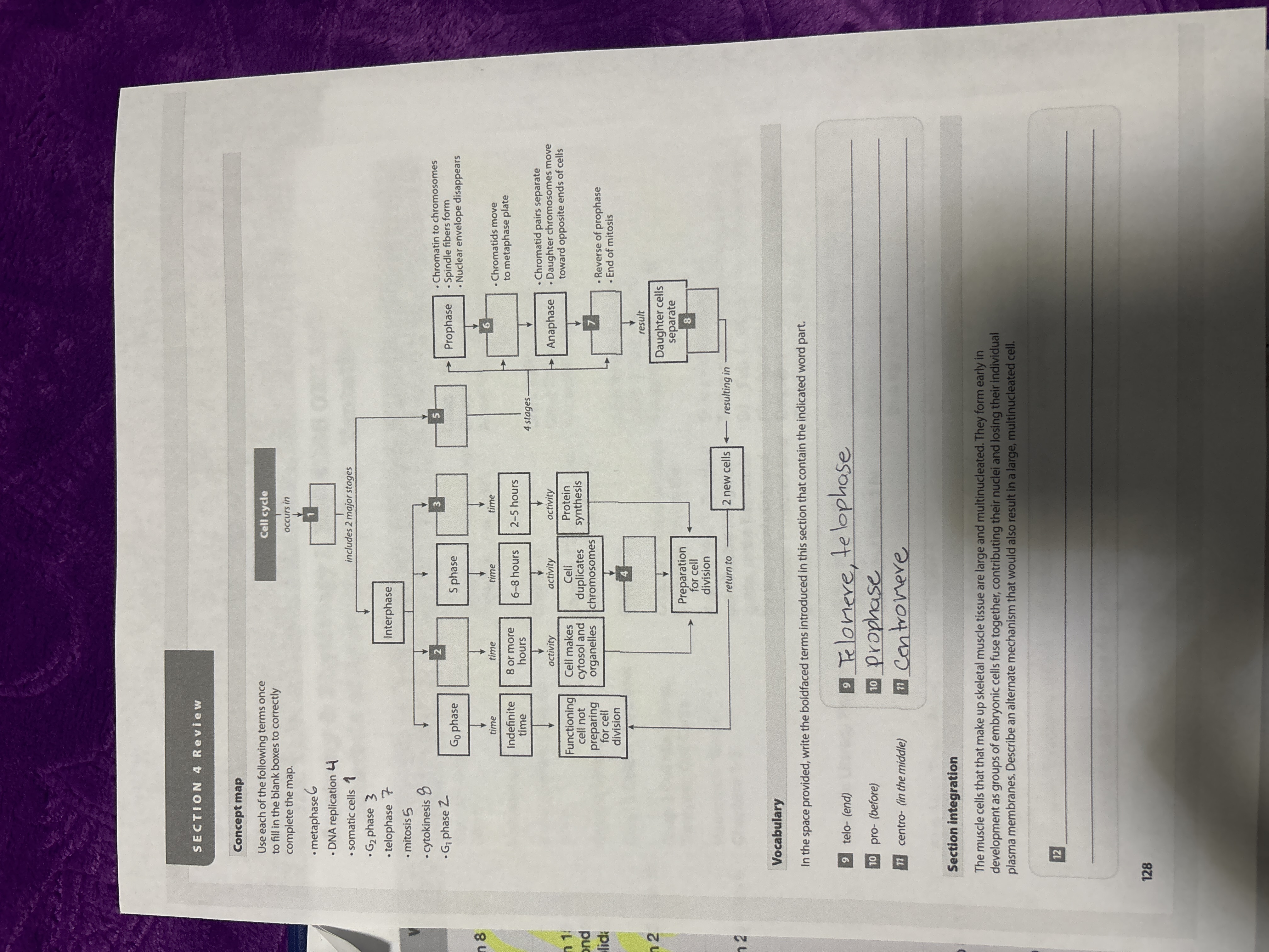 Solved SECTION 4 ﻿ReVIEwConcept mapUse each of the following | Chegg.com