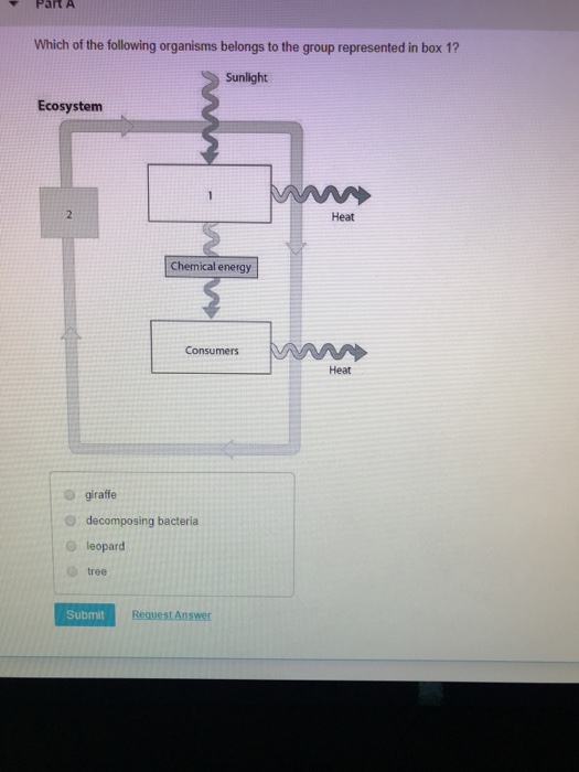Solved Part A Which of the following organisms belongs to | Chegg.com