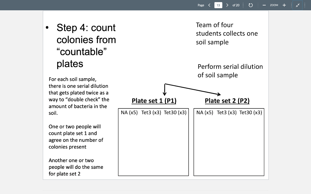 Step 4: count colonies from "countable" plates For | Chegg.com