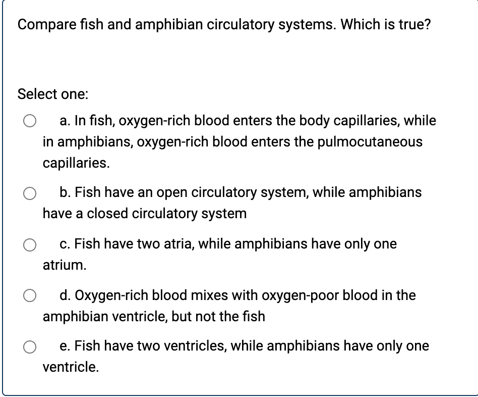 Amphibian Circulatory System