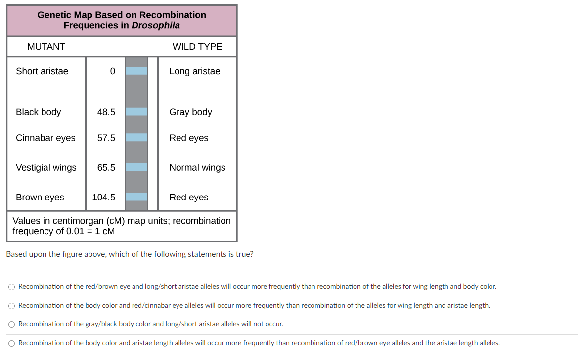 Solved Based upon the figure above, which of the following | Chegg.com