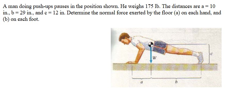 Solved A man doing push-ups pauses in the position shown. He | Chegg.com