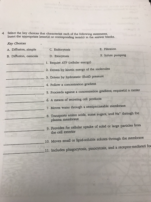 Solved Select the key choices that characterize each of the | Chegg.com