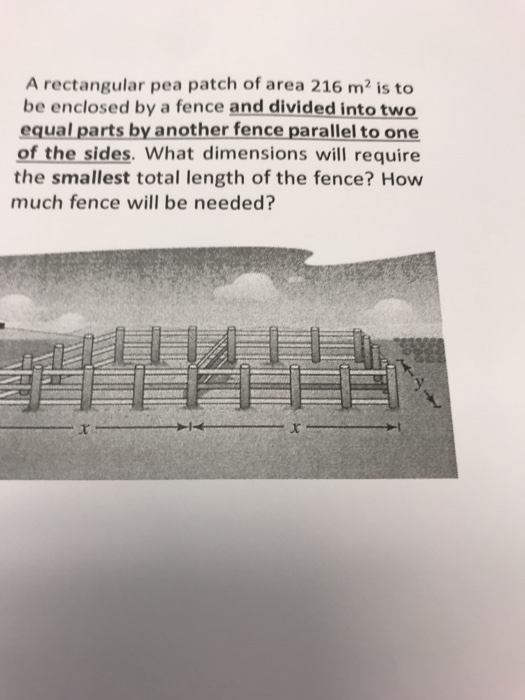 Solved A rectangular pea patch of area 216 m is to be | Chegg.com