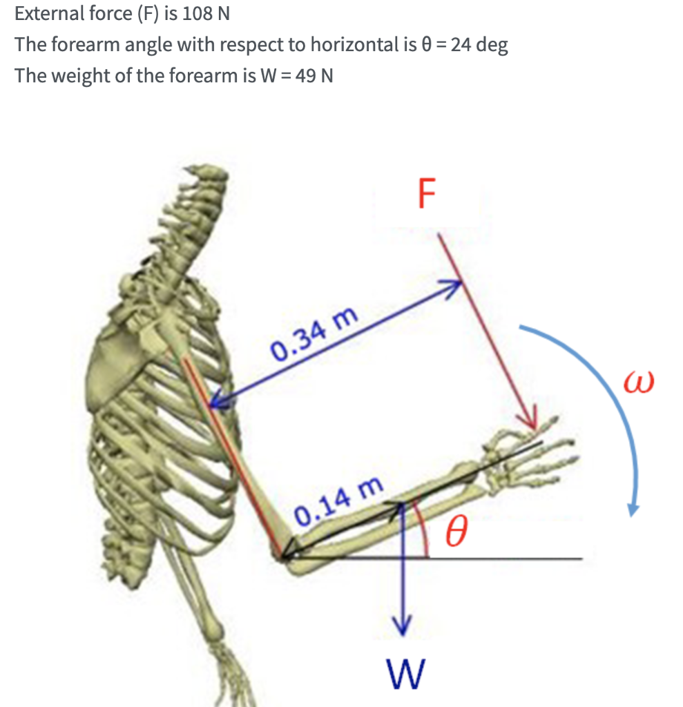 Solved If an individual was tested on a muscle testing | Chegg.com