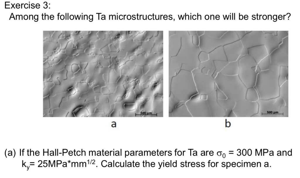 Solved Exercise 3: Among the following Ta microstructures, | Chegg.com