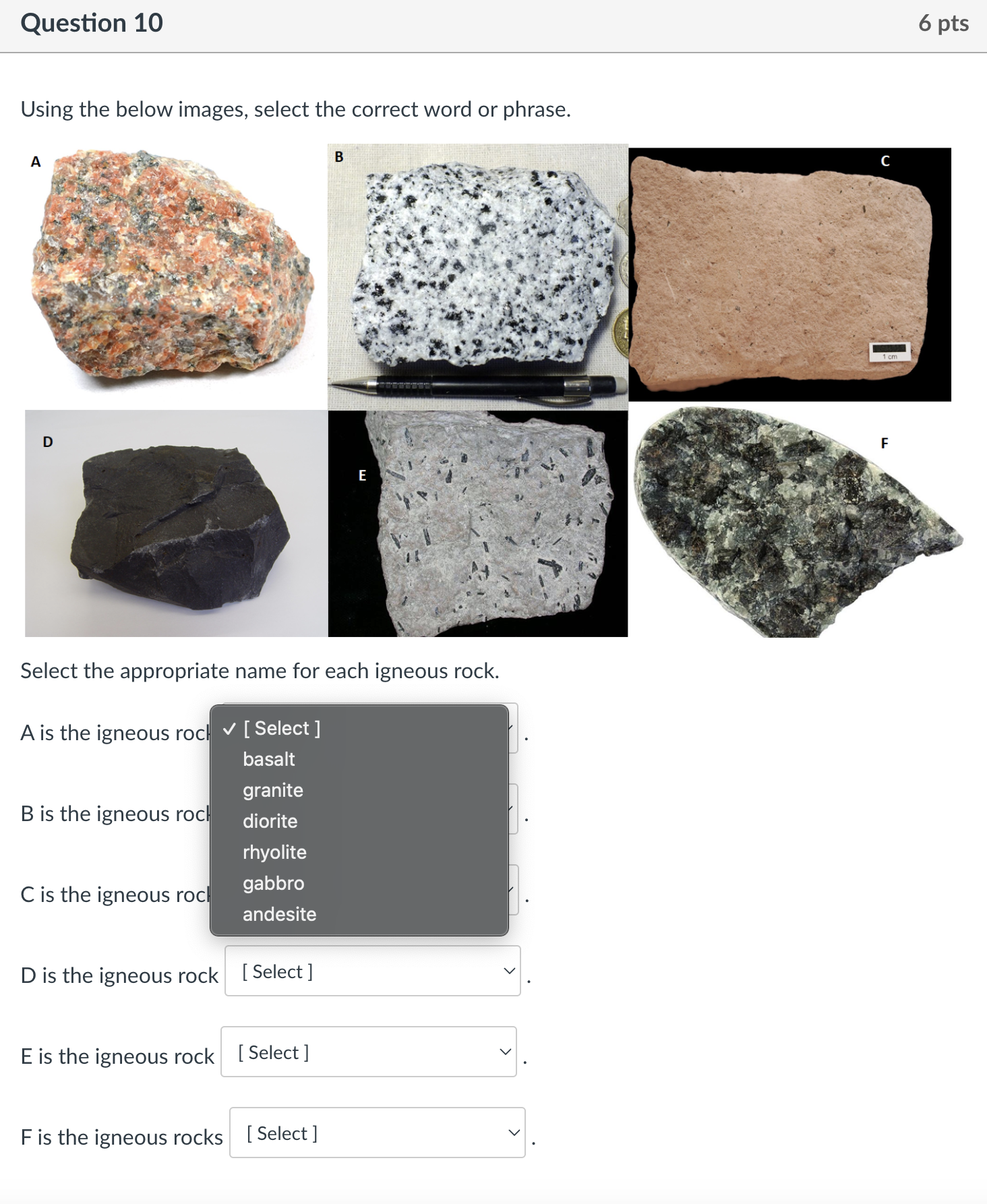 Solved Using the below images, select the correct word or | Chegg.com