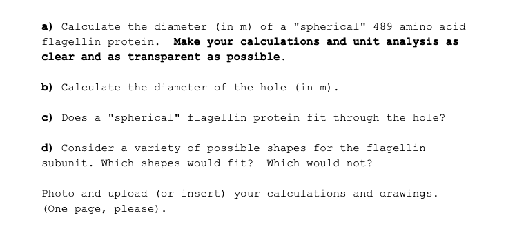 Flagellin When doing scientific calculations, it is | Chegg.com
