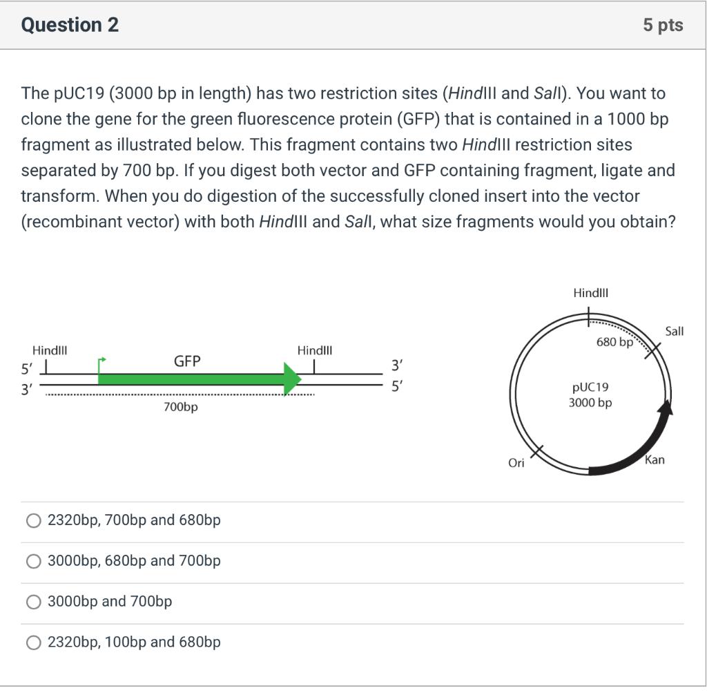 Solved What are the features that vectors and plasmids must | Chegg.com
