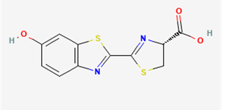 Solved I need to orally describe this molecule of luciferin | Chegg.com
