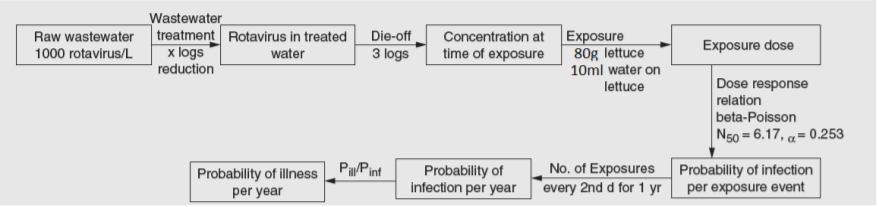 Use microbial risk assessment procedures to derive | Chegg.com