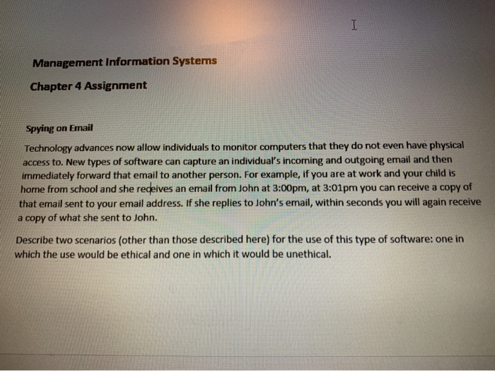 Solved Management Information Systens Chapter 4 Assignment | Chegg.com