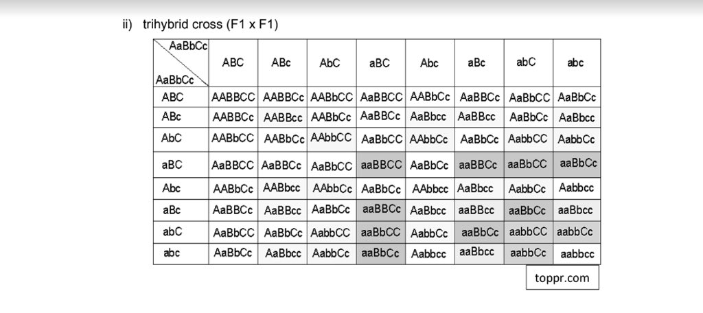 Solved 3. Interpreting crosses. What are the parents' | Chegg.com