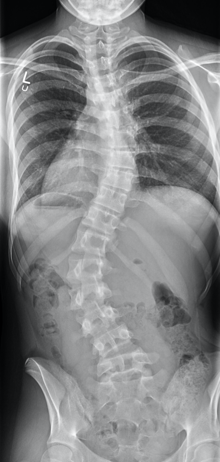 USE the following photograph to do the cobbing | Chegg.com