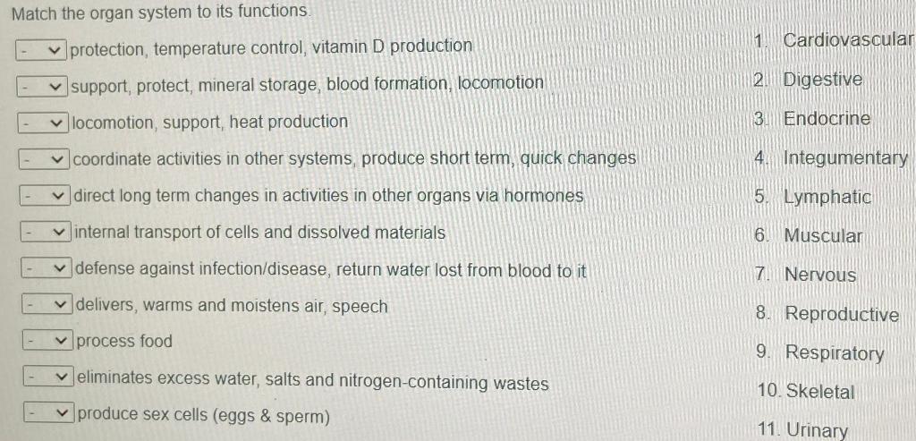Solved Match the organ system to its functions. 1. | Chegg.com