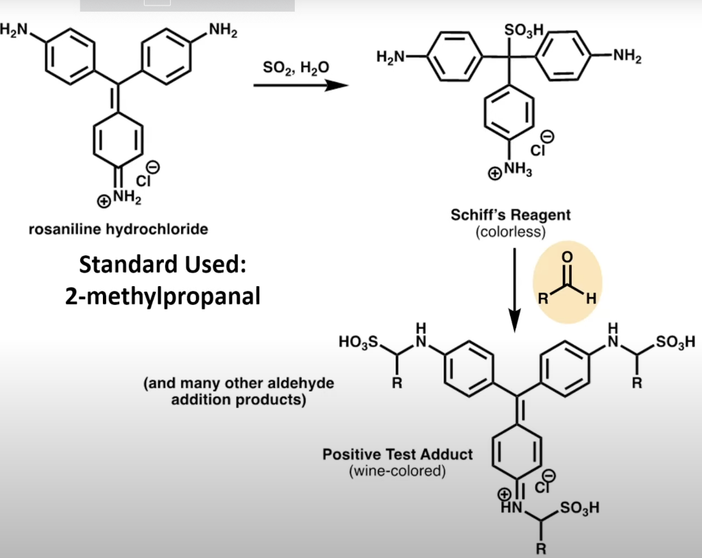 Solved H2OI2,NaOH(3)SO2,H2O Schiff's Reagent rosaniline | Chegg.com